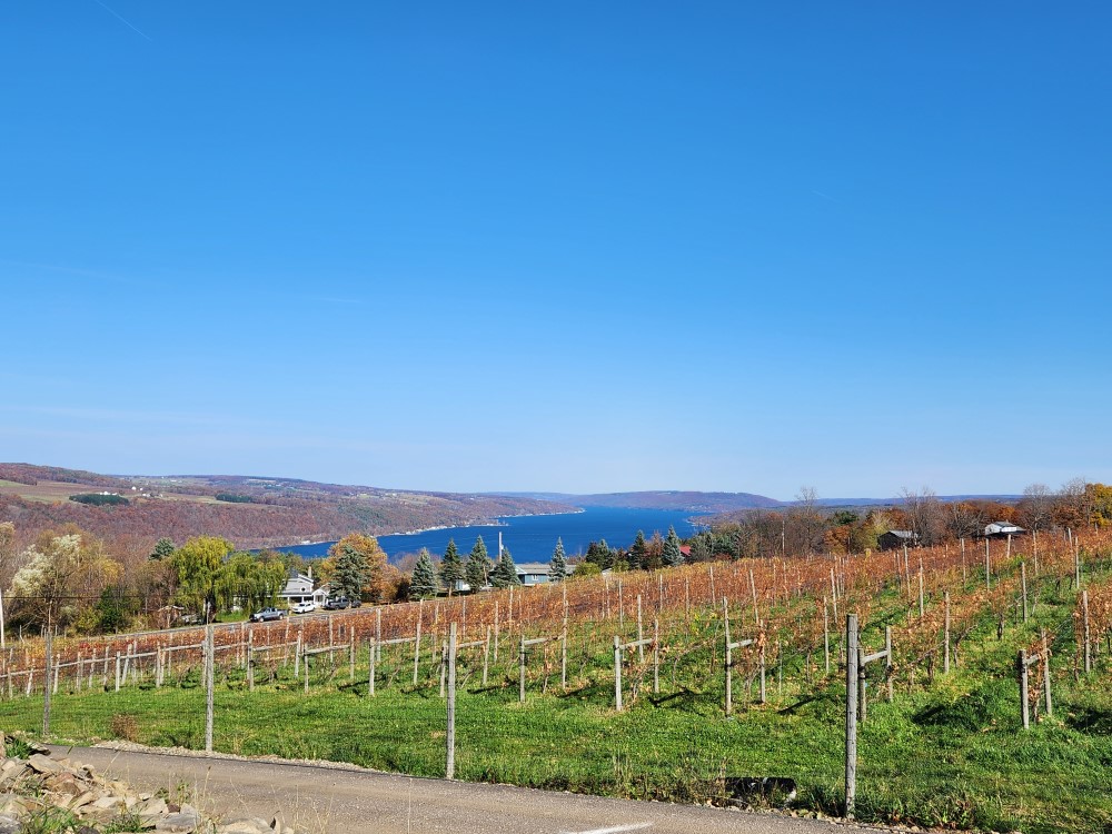 강렬하게 반짝이는 뉴욕 와인, '핑거 레이크스 & 롱 아일랜드' PART 1 - 와인인