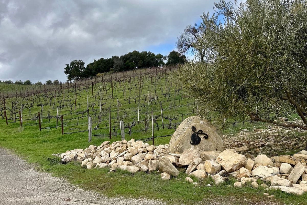 Pure Project and Tablas Creek Vineyard Collaborate on Sustainable Dry ...